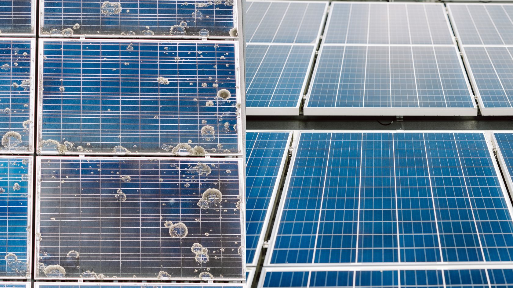 Some Common Mistakes To Avoid When Cleaning Solar Panels